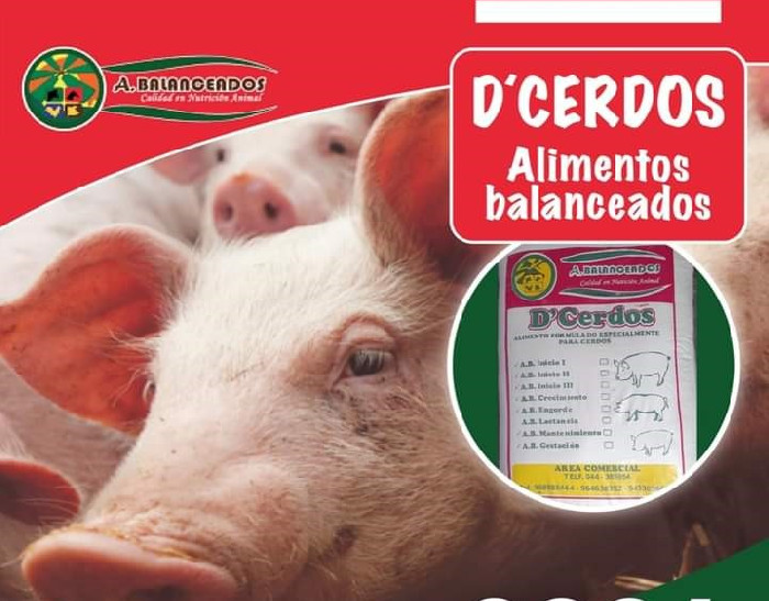 INICIO DE CERDO :: A.BALANCEADOS